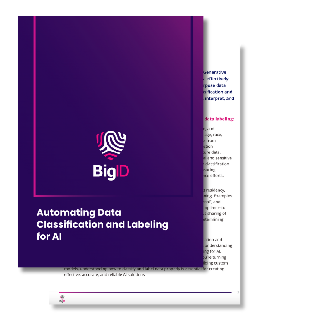 Automating Data Classification and Labeling for AI